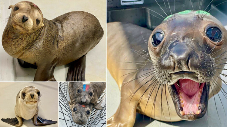 TJM Promos | Promotional Products & Items | $ Best Price - TJM Promos Inc.